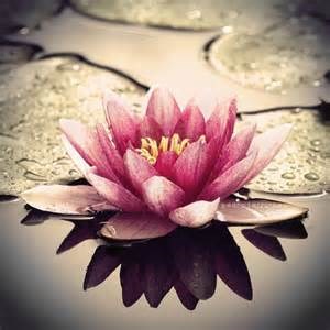 Mary Nishimura Obituary - Seattle, WA