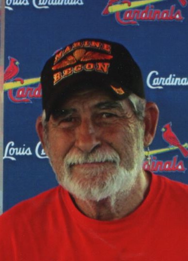 Alvery Louis Hortiz Jr. Obituary - St. Louis, MO