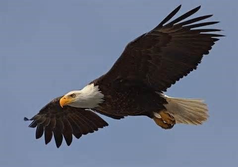 Jerry Kenneth Foster Obituary - Plant City, FL