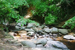 David Francis Layton Obituary - Tucson, AZ