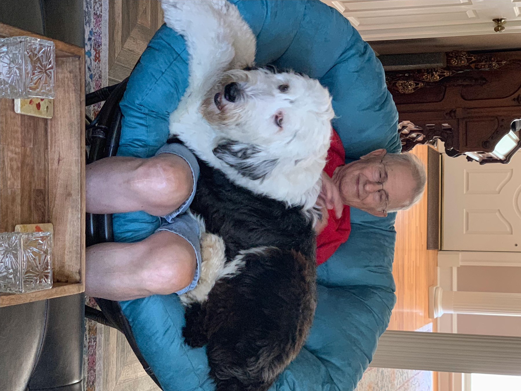 Dr. Stuart R. Cole Obituary - Canoga Park, CA