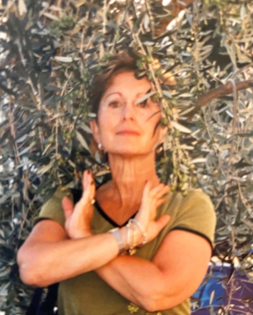 Ronne Harris Obituary - Brookline, MA