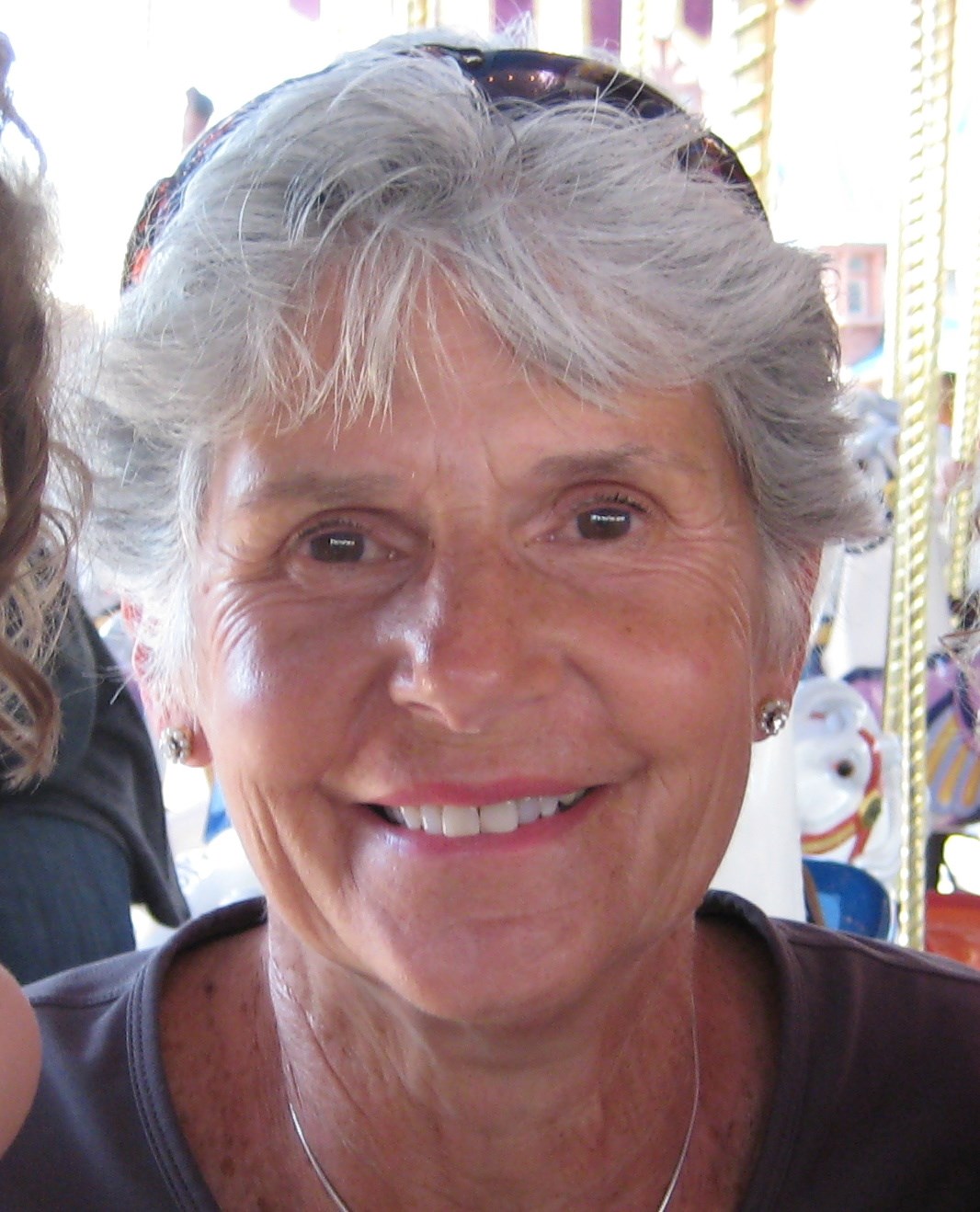 Barbara Ann Schiltz Obituary - Canton, OH Barbara Ann Schiltz Obituary - Canton, OH