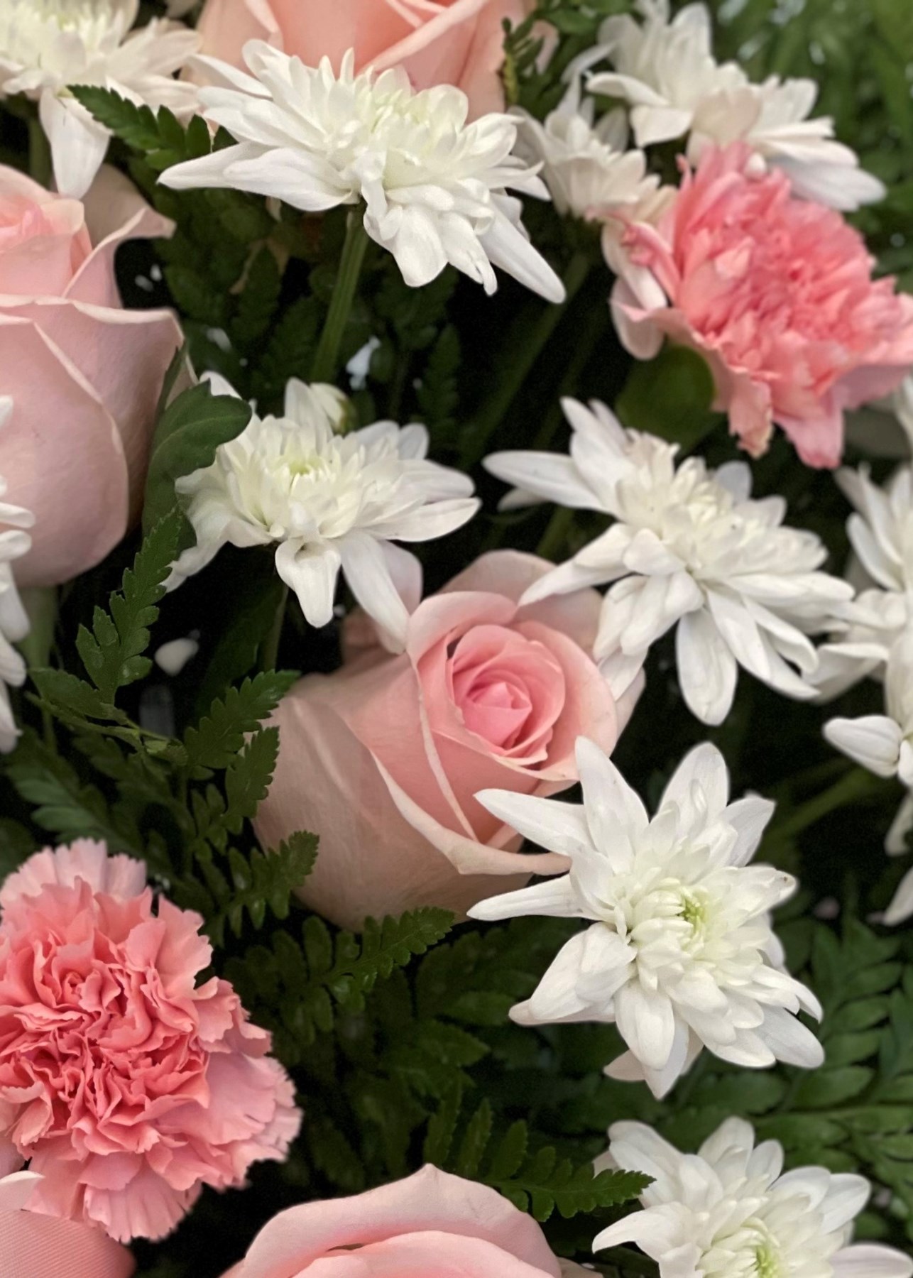 Shu Ang Zhou Obituary - Vancouver, BC