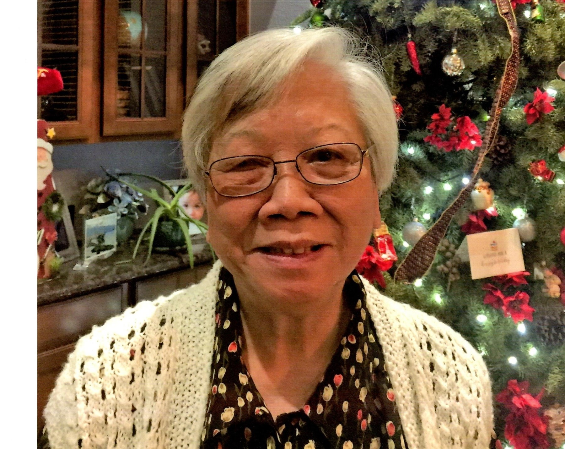 Lin Siu Obituary - Stafford, TX