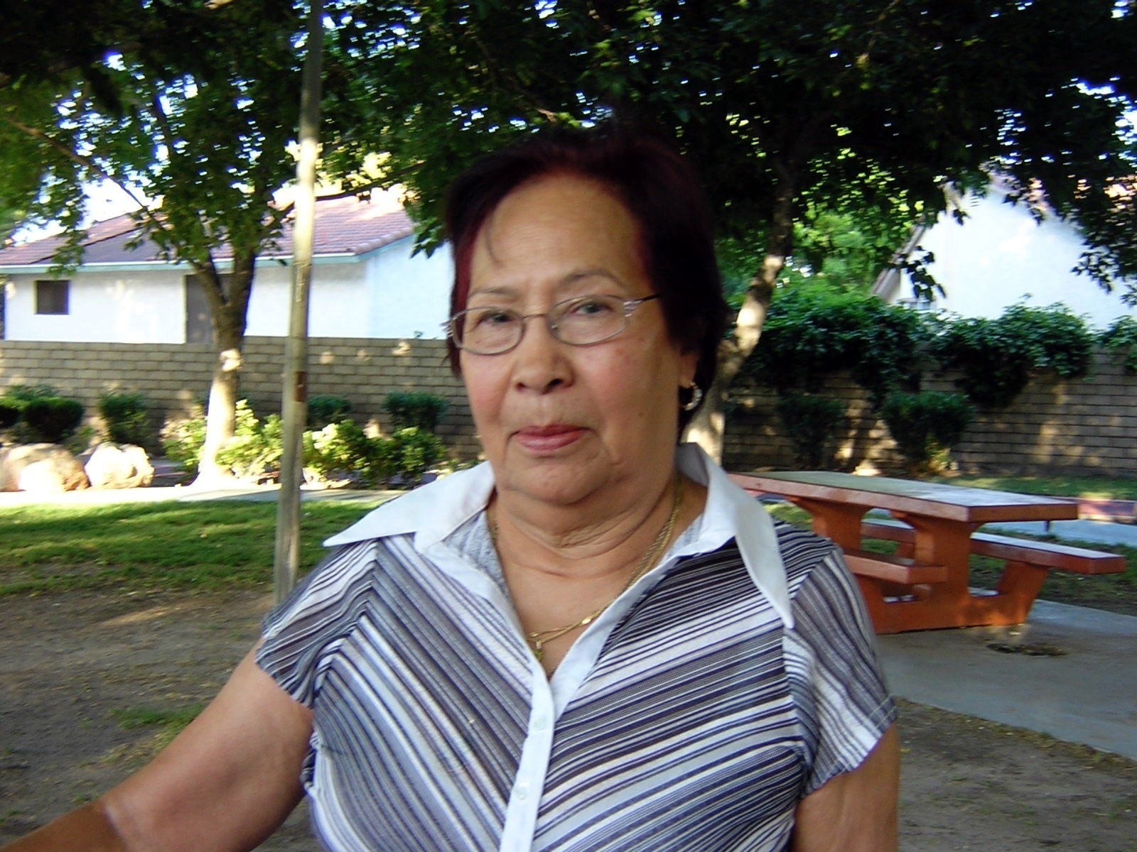 Elvira Silva Obituary - Las Vegas, NV