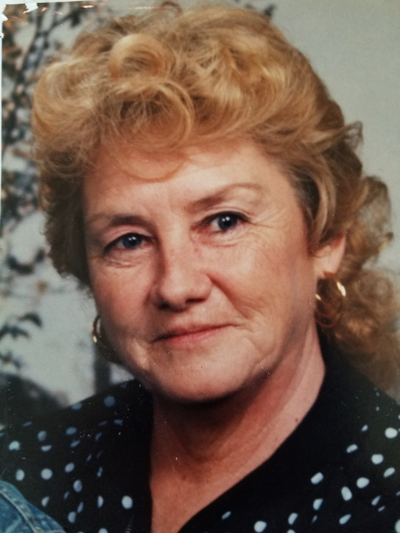 Patricia Fidler Obituary - Baltimore, MD