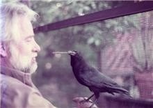 Homer Mosley Obituary - Ontario, CA