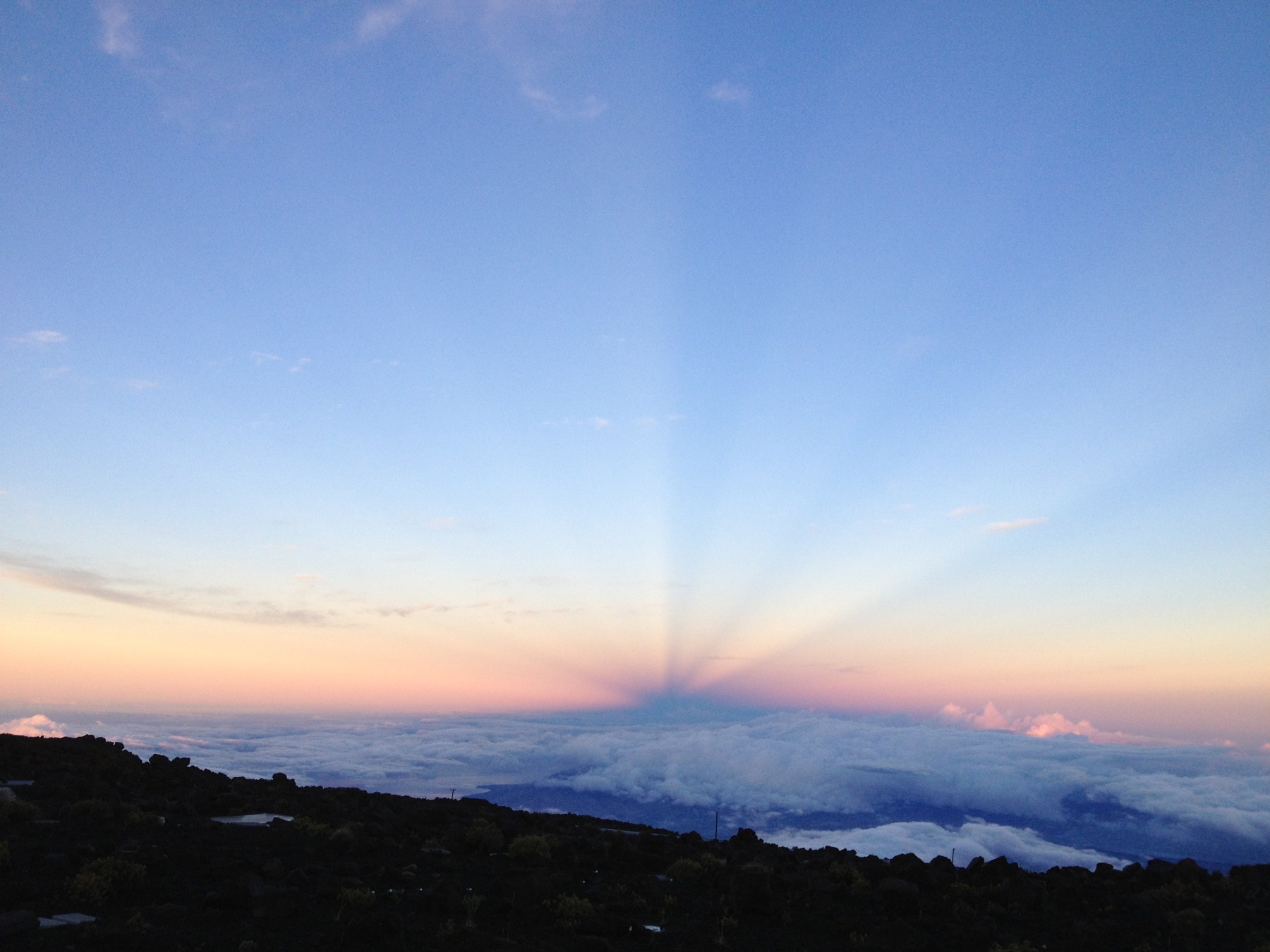Myrna G Glassberg Obituary - Stamford, CT