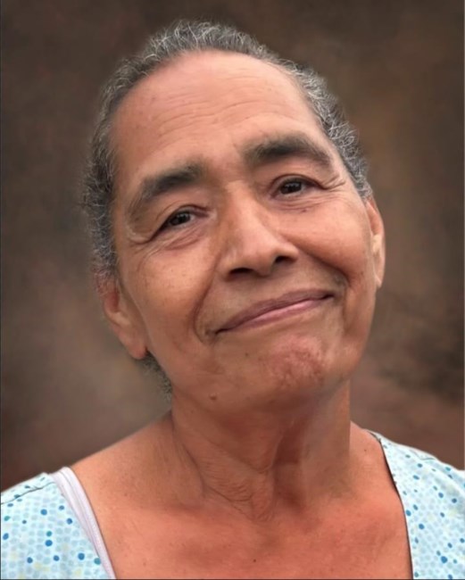 Luisa Chavez Obituary - Houston, TX