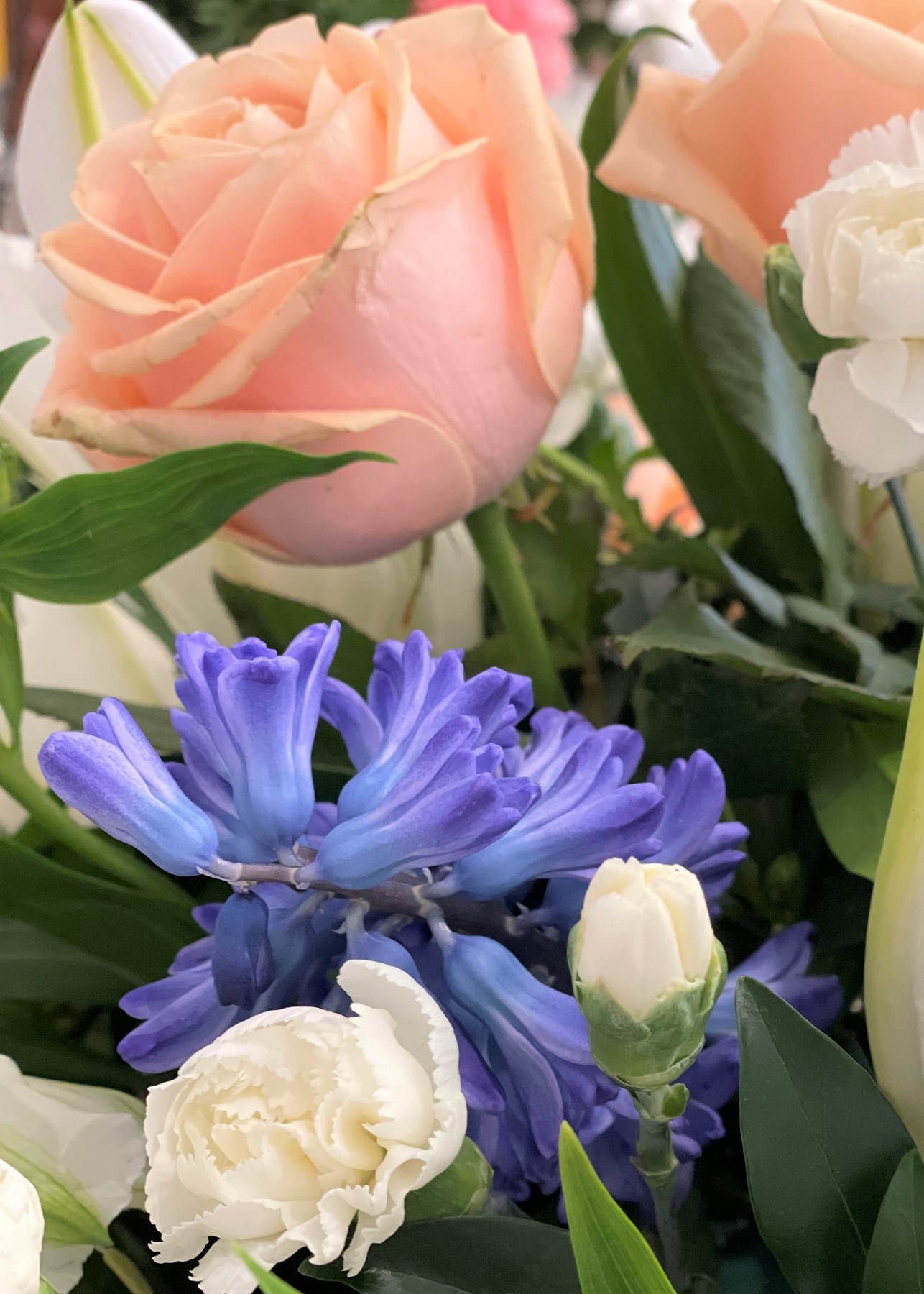 Yong Xue He Obituary - Vancouver, BC