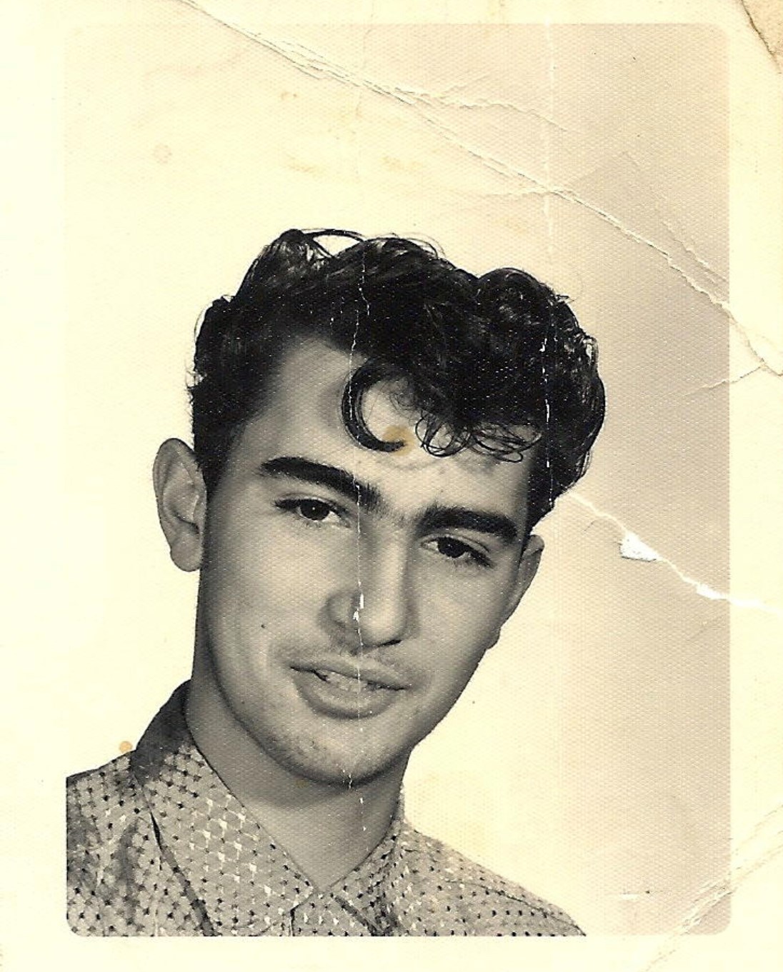 Joseph Priolo's Instagram, Twitter & Facebook on IDCrawl