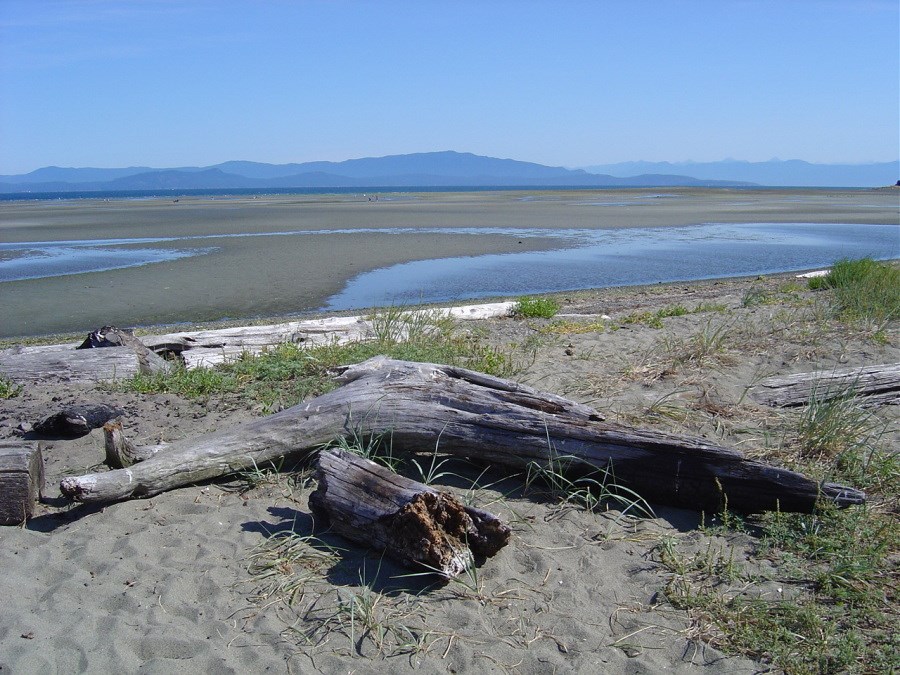 Dennis Kletchko Obituary - Parksville, BC