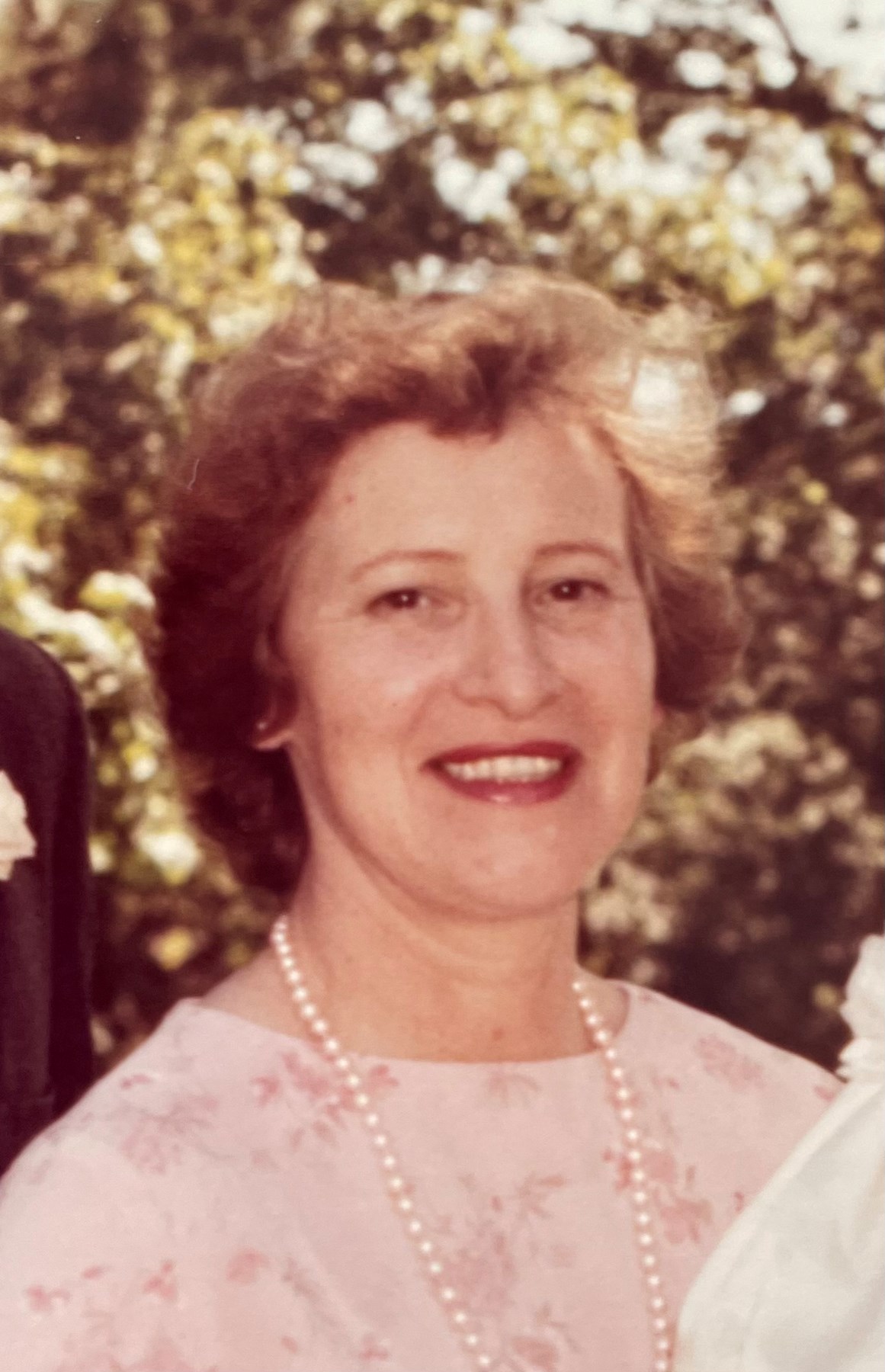 Freda P Seltzer Obituary - Las Vegas, NV