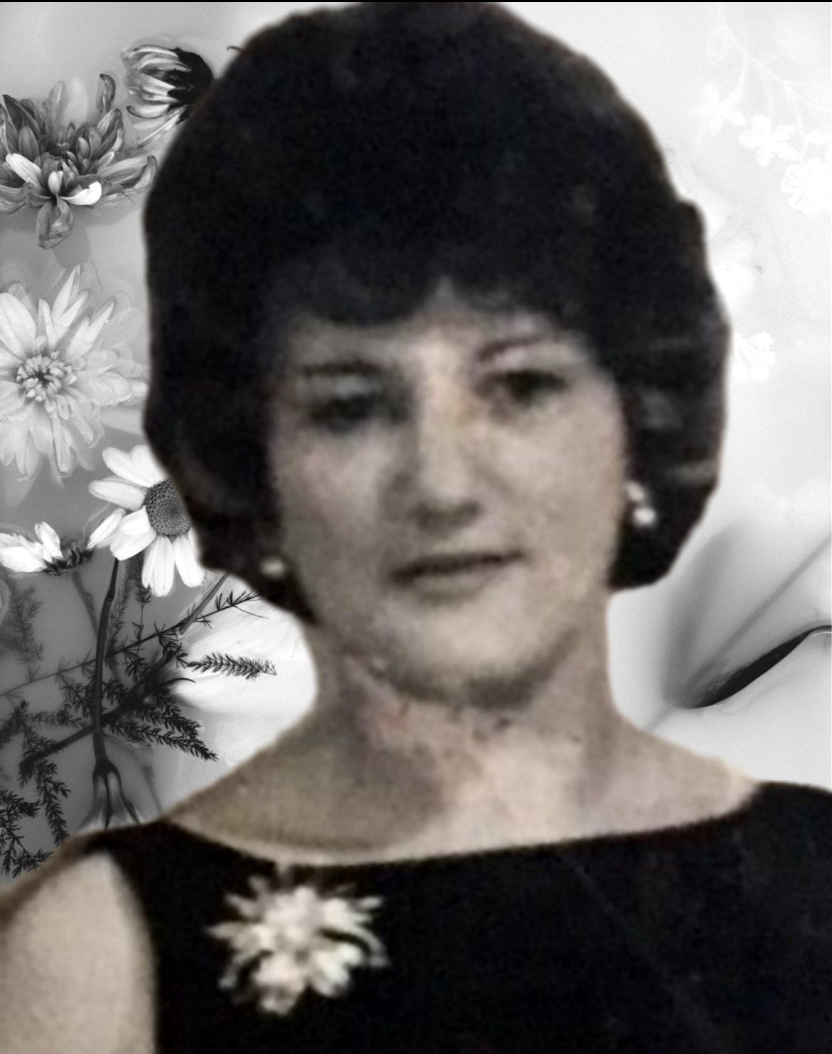 Barbara Pollaro Obituary - Pittsburgh, PA