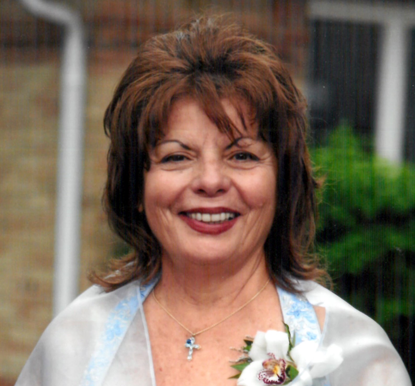 Maria Dimitriou's Instagram, Twitter & Facebook on IDCrawl