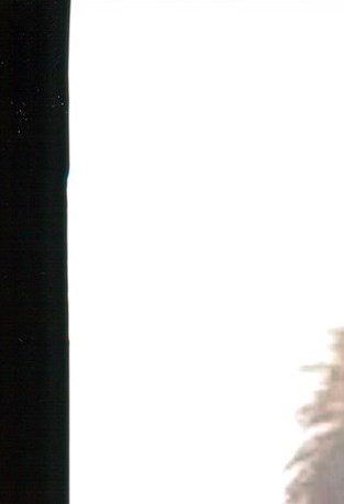 Guillermo Contreras Jr. Obituary - El Paso, TX Guillermo Contreras Jr. Obituary - El Paso, TX