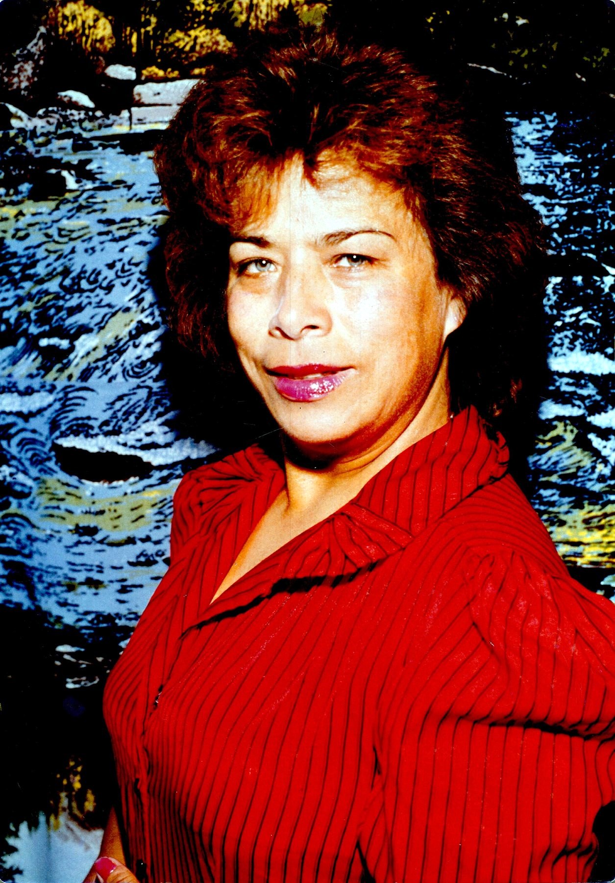 Ana Carcamo Obituary - Van Nuys, CA