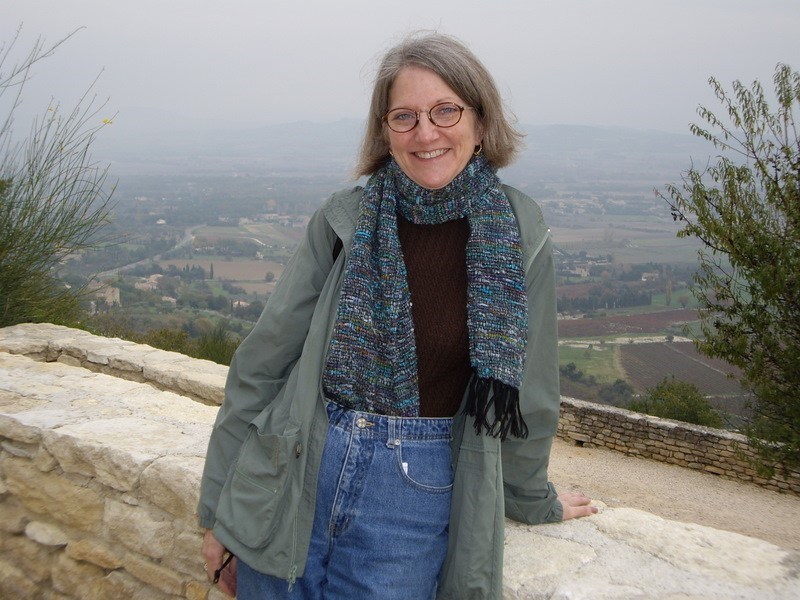 M. Susan Carlson Obituary - St. Louis, MO
