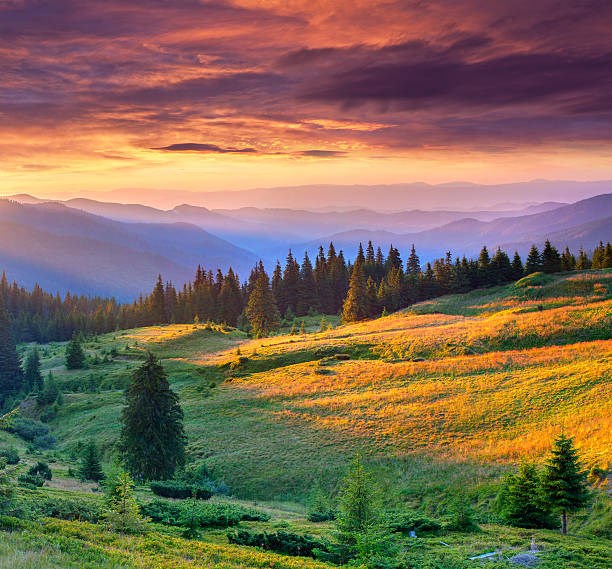 Dominic Stice Obituary - Salem, OR