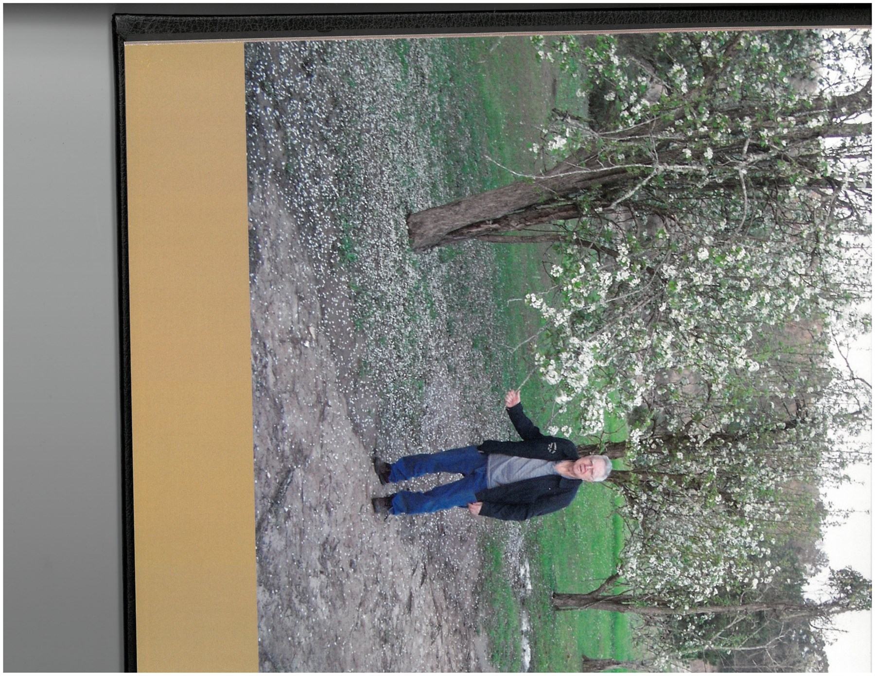 Robert Hemphill Obituary - Houston, TX