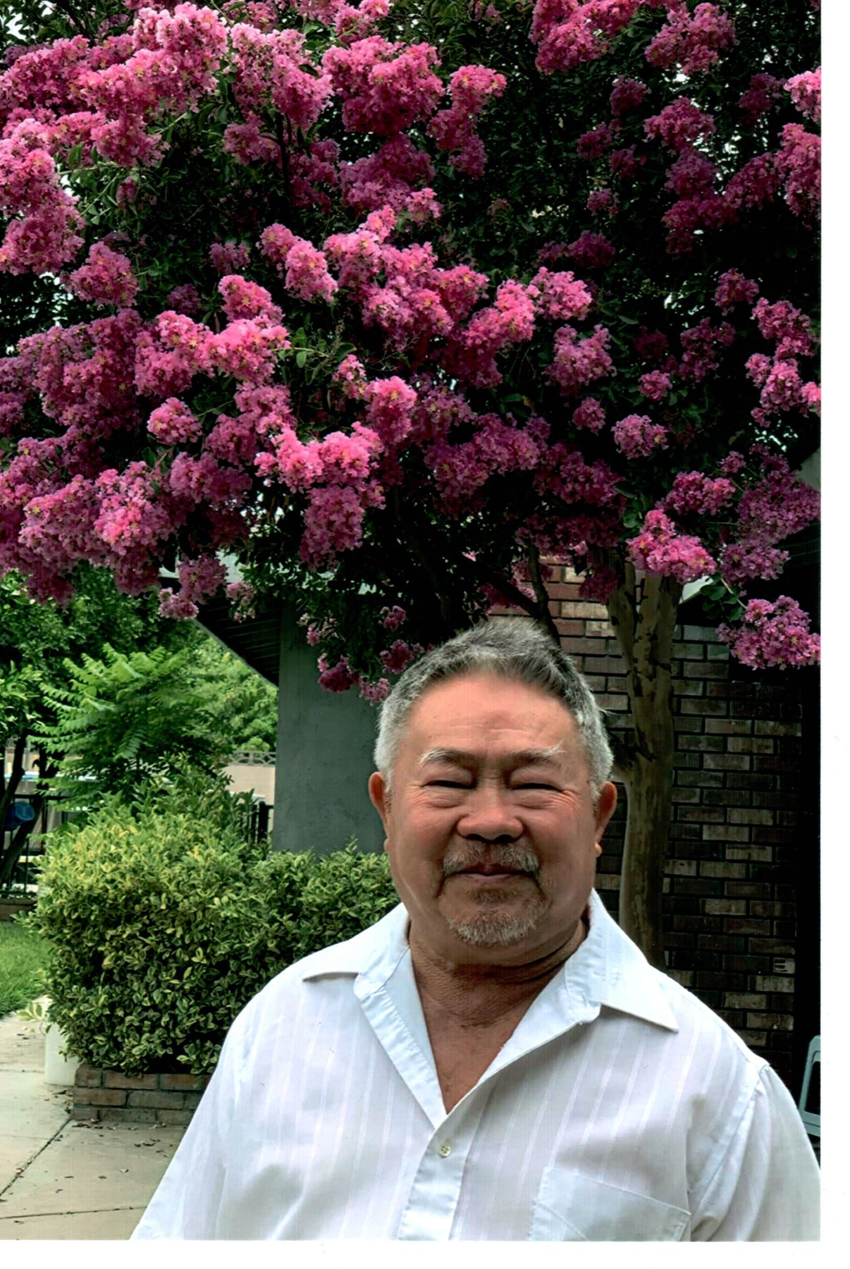An Quach Obituary - Colton, CA