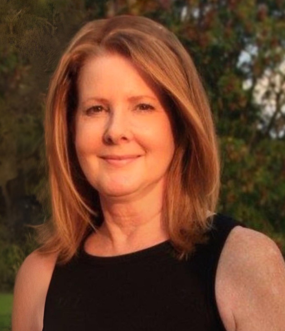 Ginger Davis Obituary - Springfield, IL