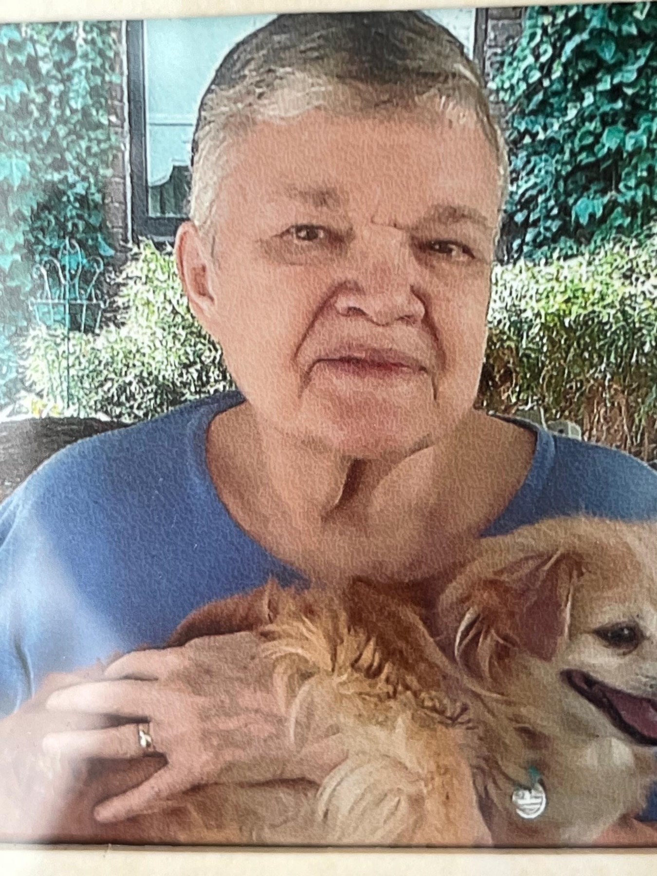 Joan Wood Obituary - St. Catharines, ON