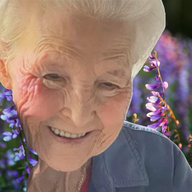 Judy Staggs – Quad Cities Daily