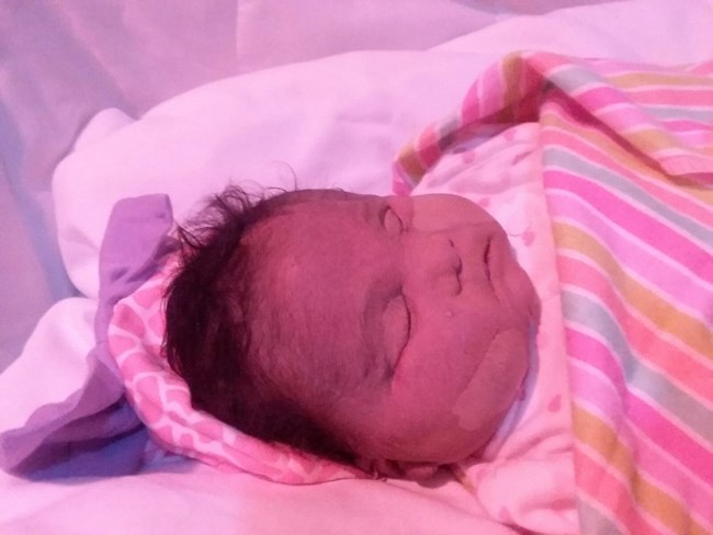 Nordicah Labady Obituary