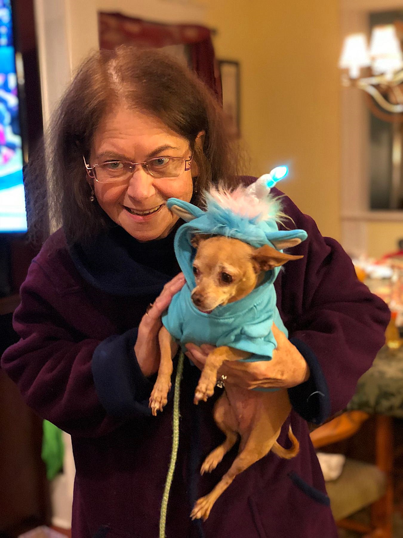 Patricia Bianculli Obituary - Deer Park, NY