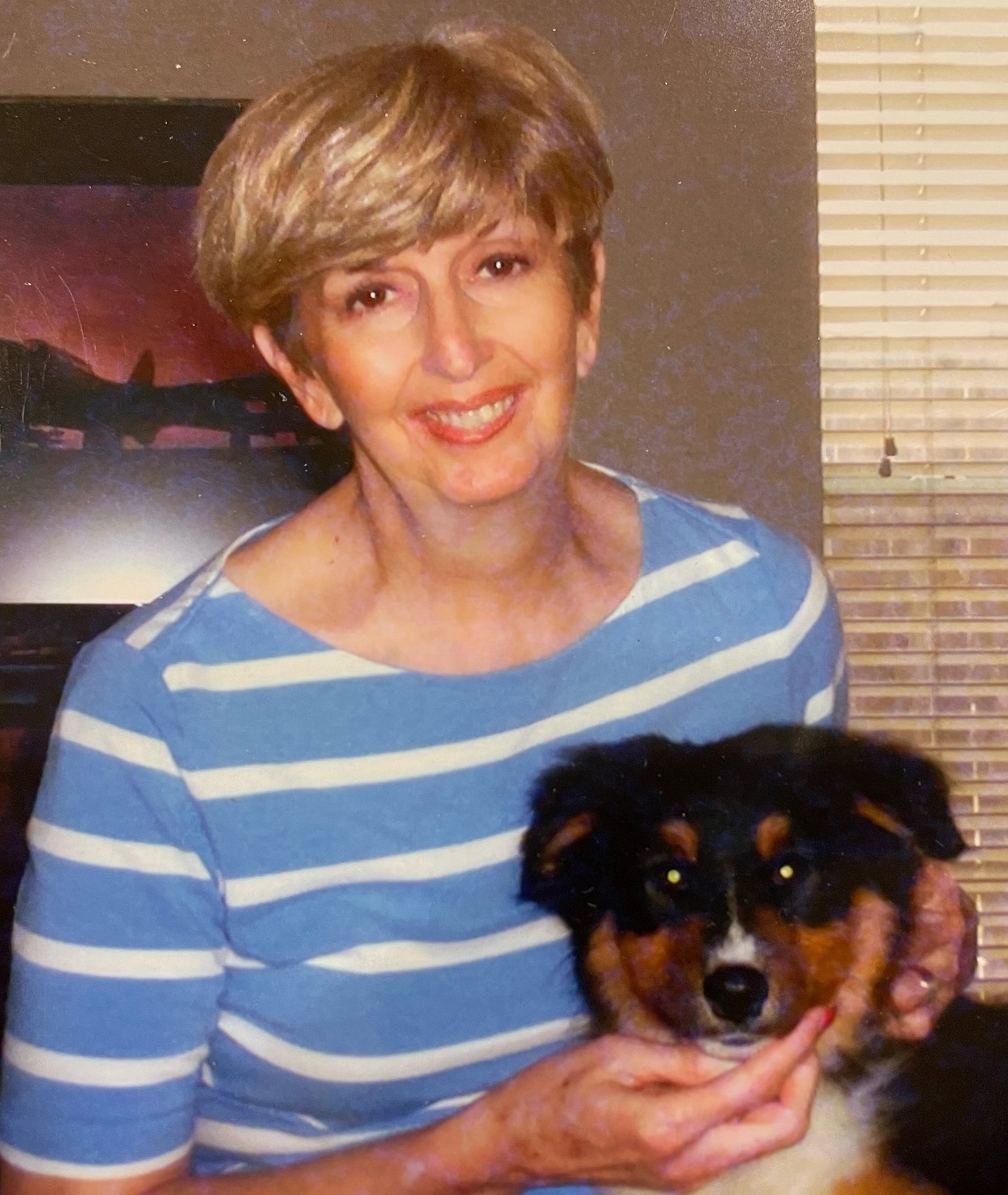 Susan Collins Obituary - Pflugerville, TX