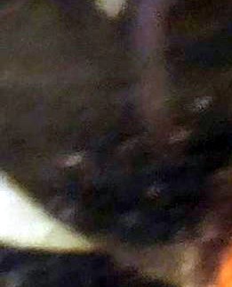 William Robert Dawson Sr. Obituary - Charlottesville, VA William Robert Dawson Sr. Obituary - Charlottesville, VA