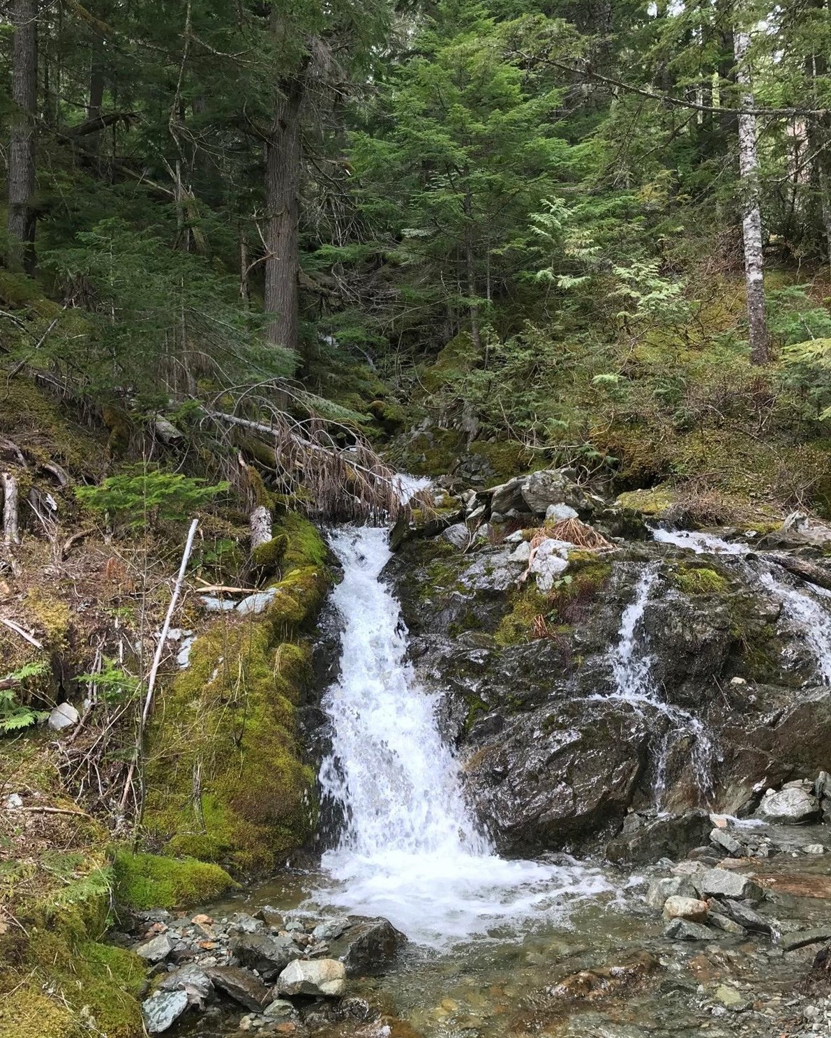 Michael Bowser Obituary - Vancouver, BC