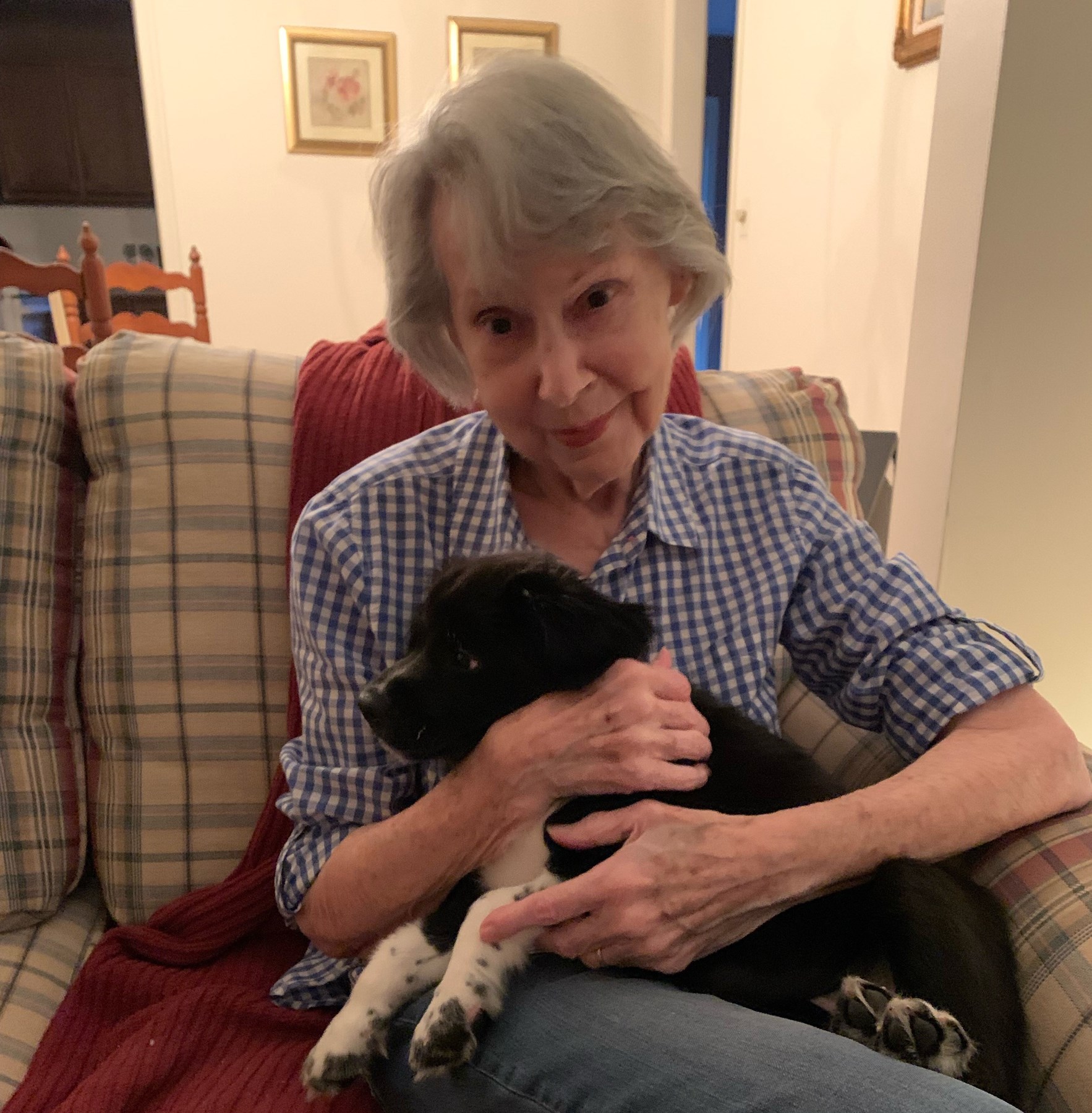 Jean Wolf Obituario - Lexington, SC