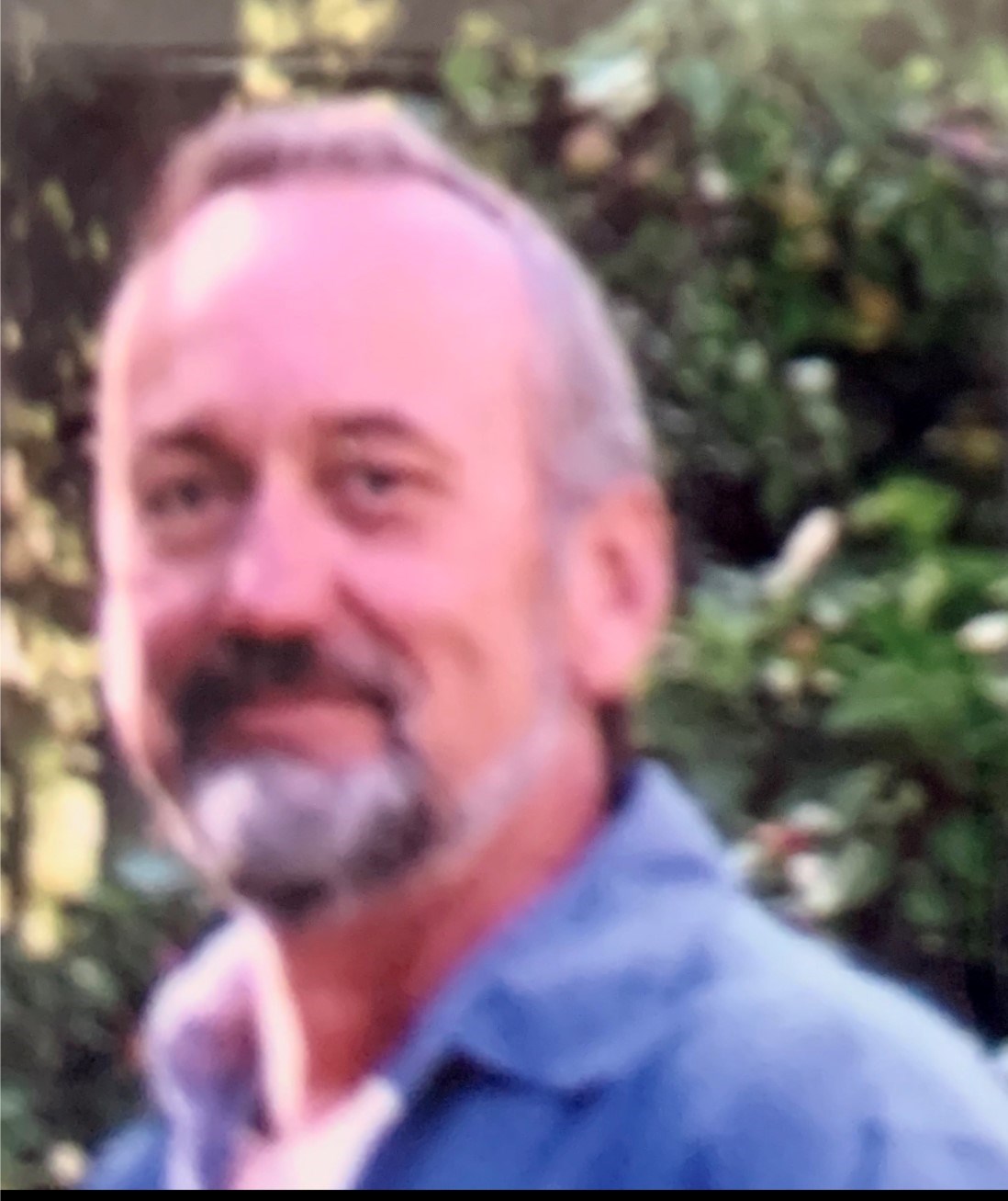 Colleen Mcleod's Instagram, Twitter & Facebook on IDCrawl