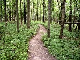 Timothy Guerrette Obituary - Southington, CT