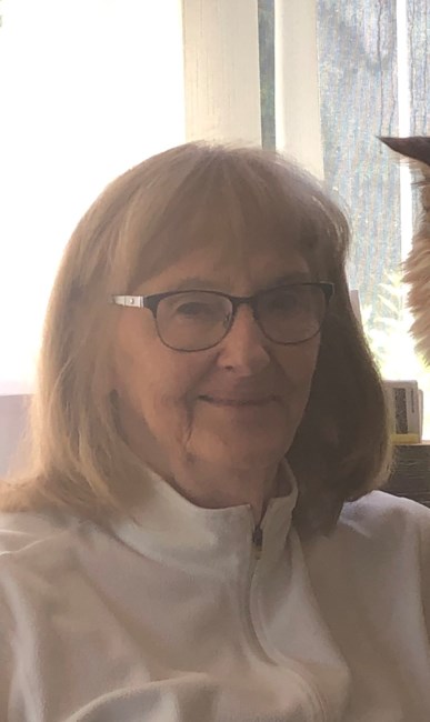 Jenny Orlin Obituary - Ann Arbor, MI