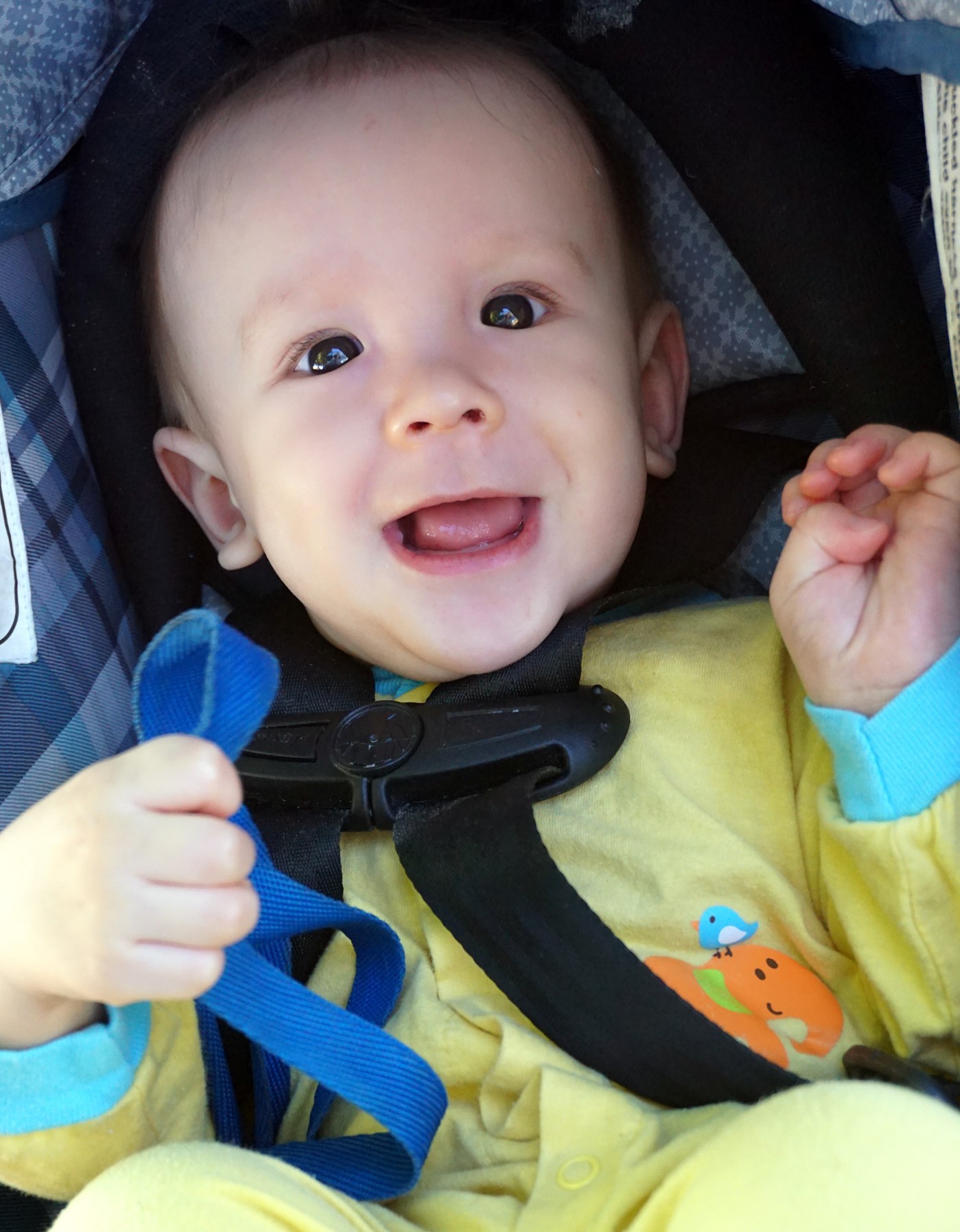 David Gasper Obituary - Las Vegas, NV