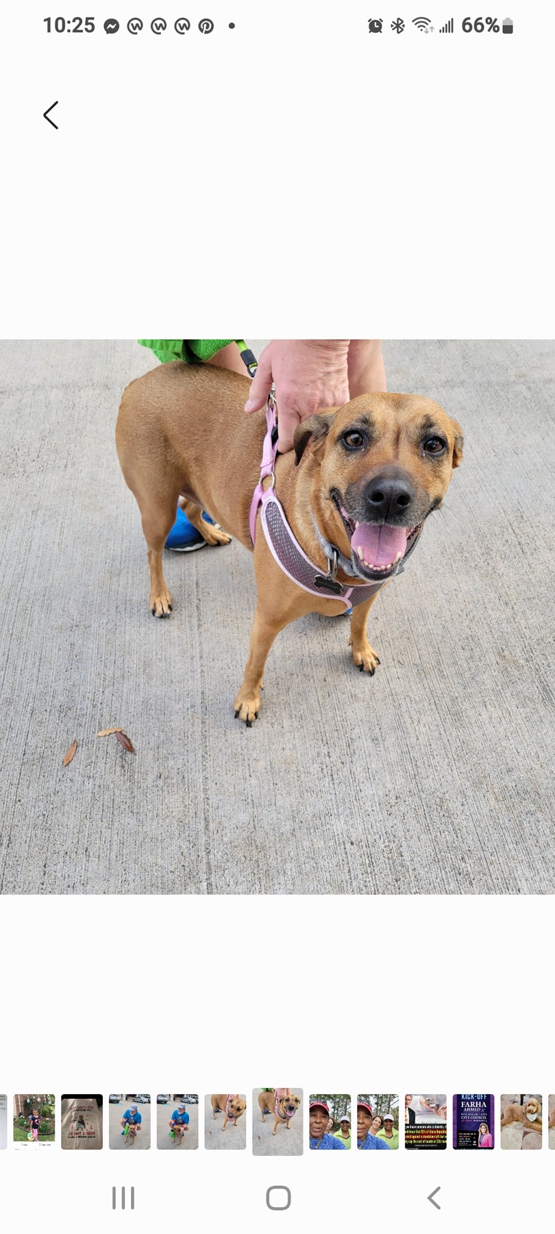 Kevin Riehle Obituary - Houston, TX