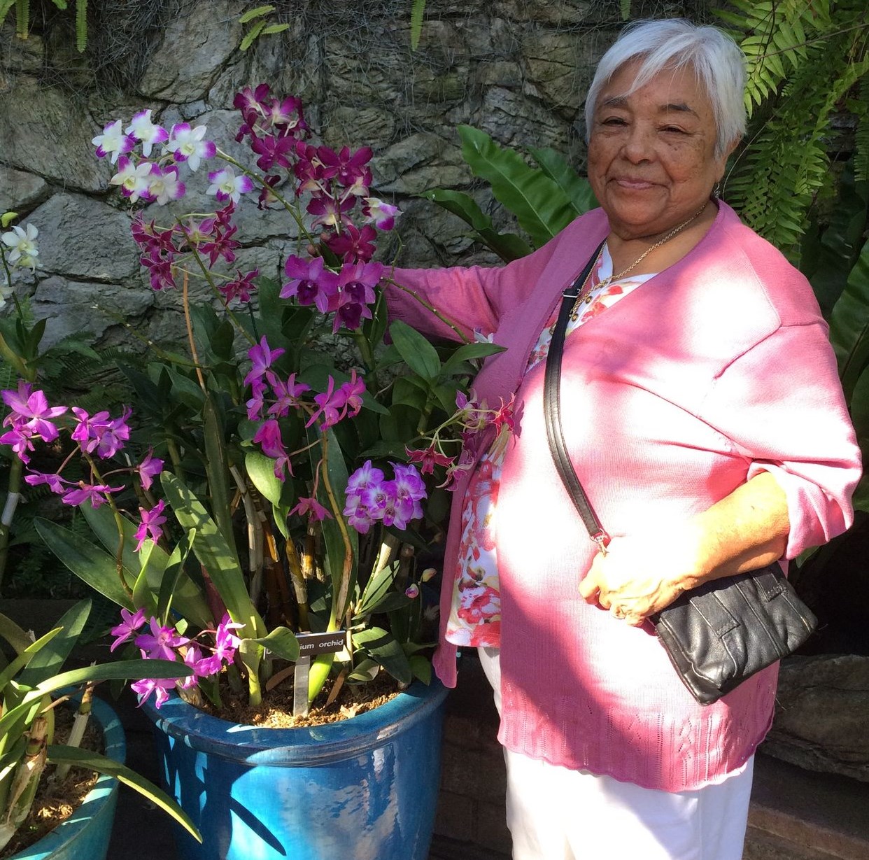 Maria Juarez Obituary - Oceanside, CA