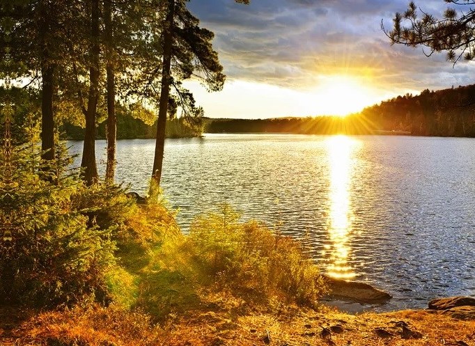 Felix Toedter Obituary - Santa Ana, CA