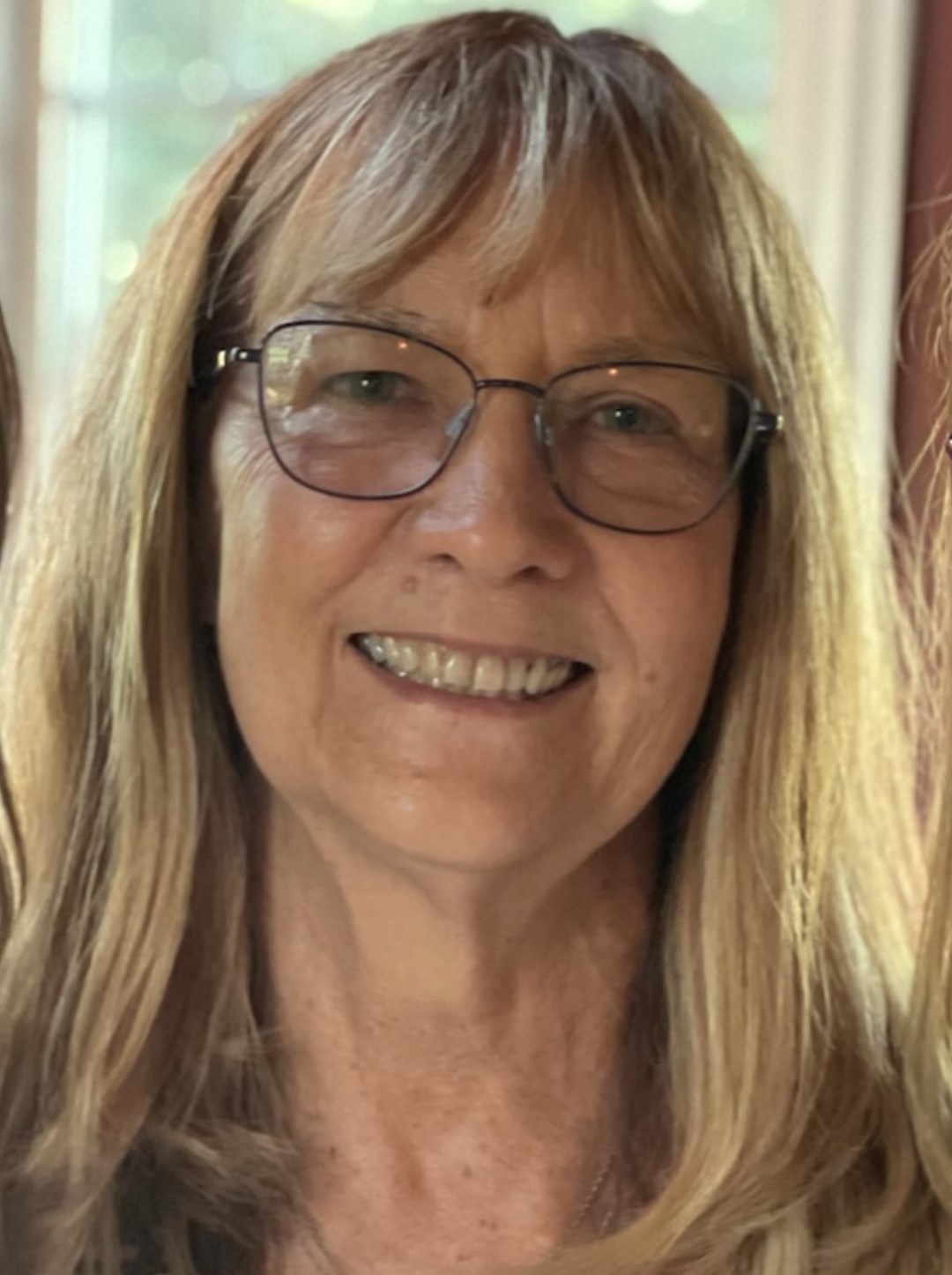Diane Ross Obituary - Monee, IL