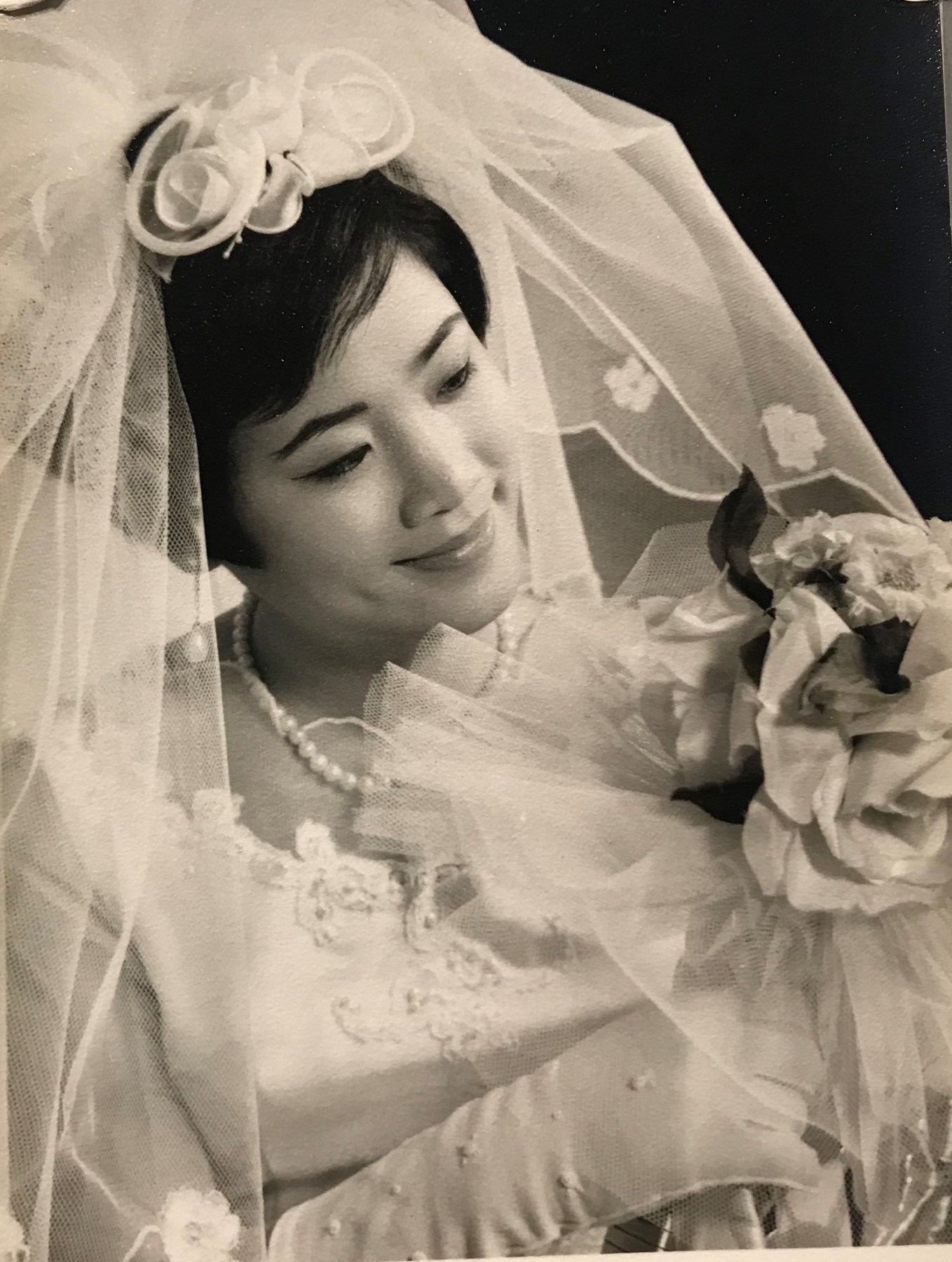 Lisa Wong Obituary - Digby, NS