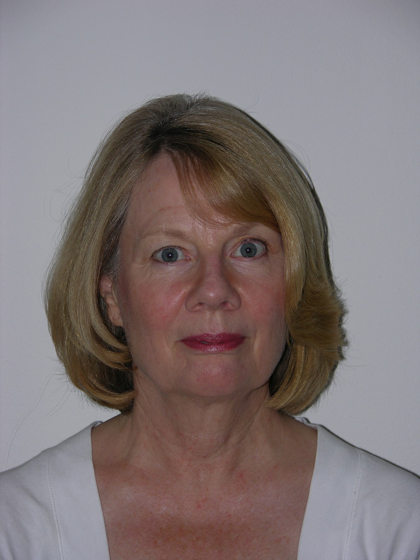 Susan Down Obituary - Sarasota, FL