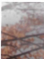 Doris Joan Fogle Obituary - Greencastle, IN Doris Joan Fogle Obituary - Greencastle, IN