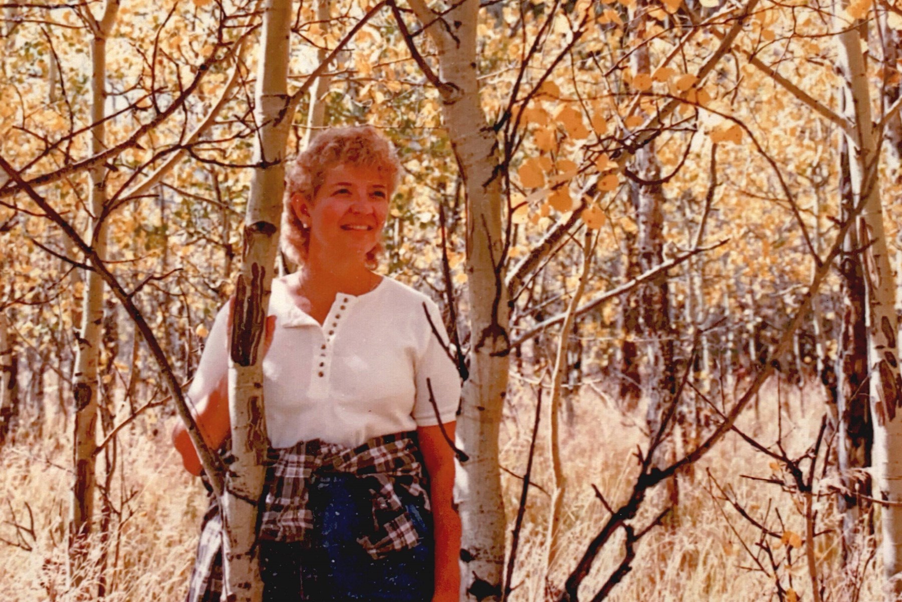 Susan Carr Obituary - Longmont, CO