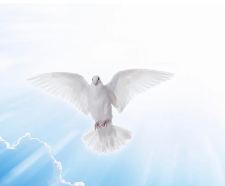 Janice Hatcher Obituary - Merced, CA