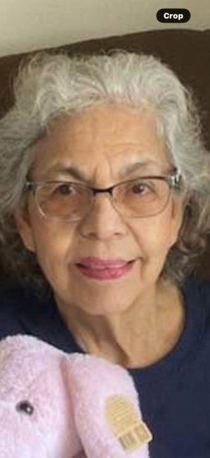 Maria Zamora Obituary - Mission, TX