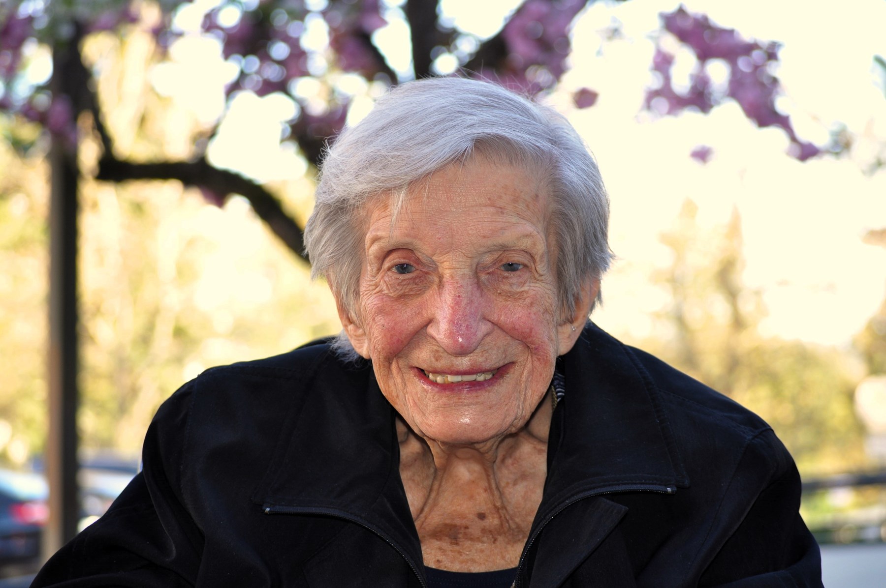 Ann Toth Obituary - Tacoma, WA